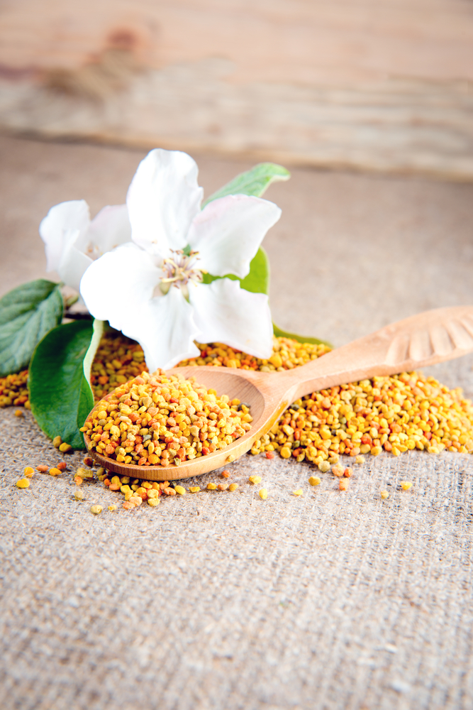 Le pollen d'abeille - Naturopathe Bordeaux