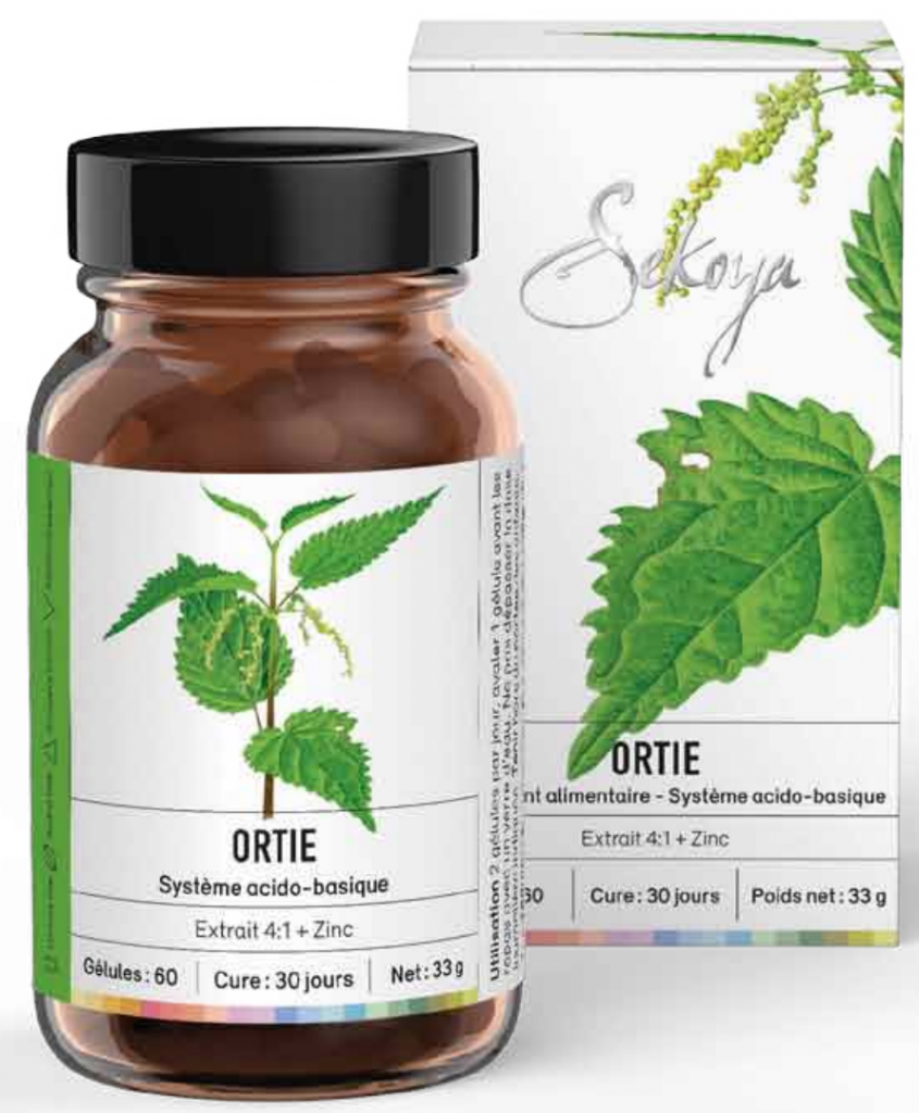 ORTIE - Urtica Dioïca - Naturopathe Bordeaux Phytothérapie